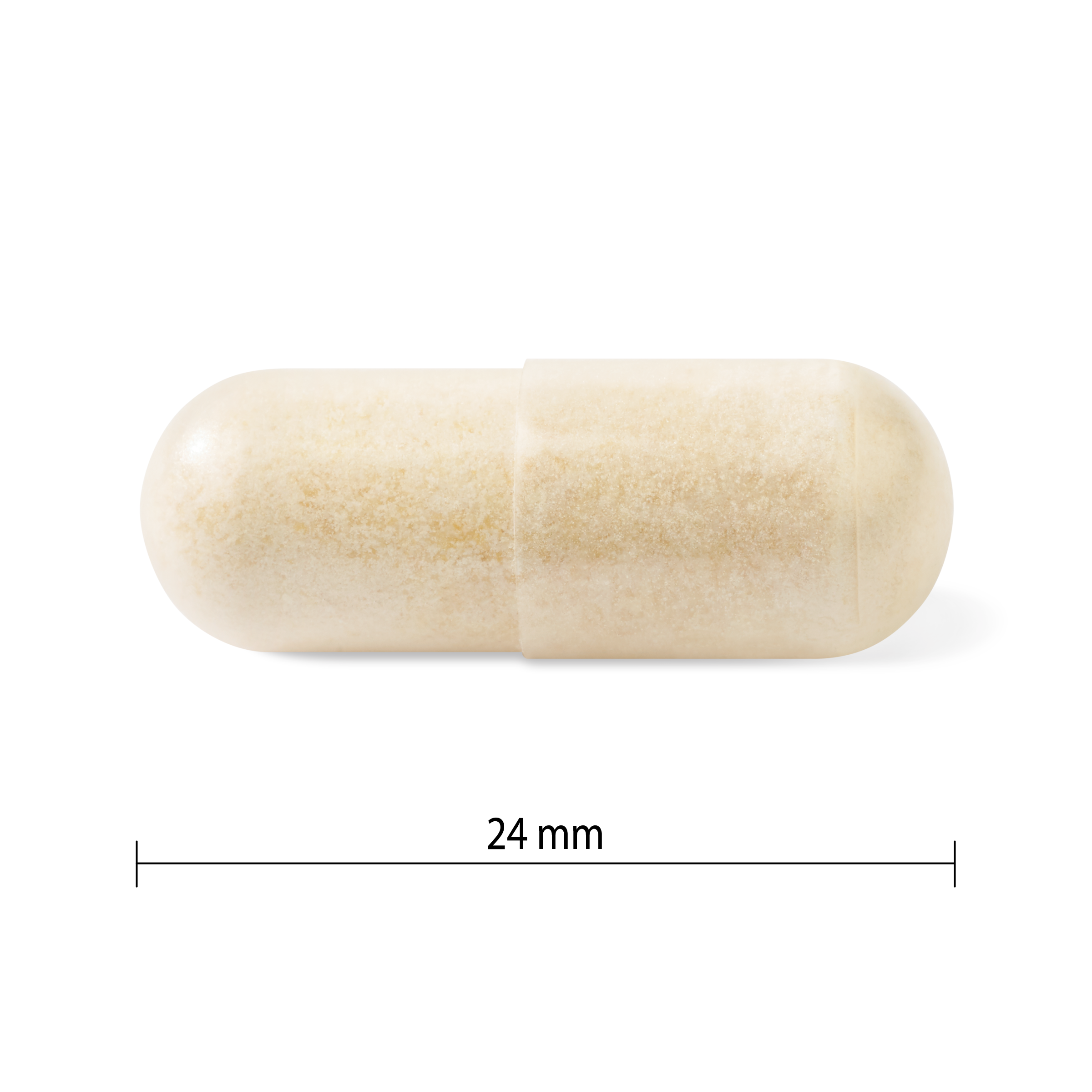 Extra Strength Daily Probiotic | Shop Progressive