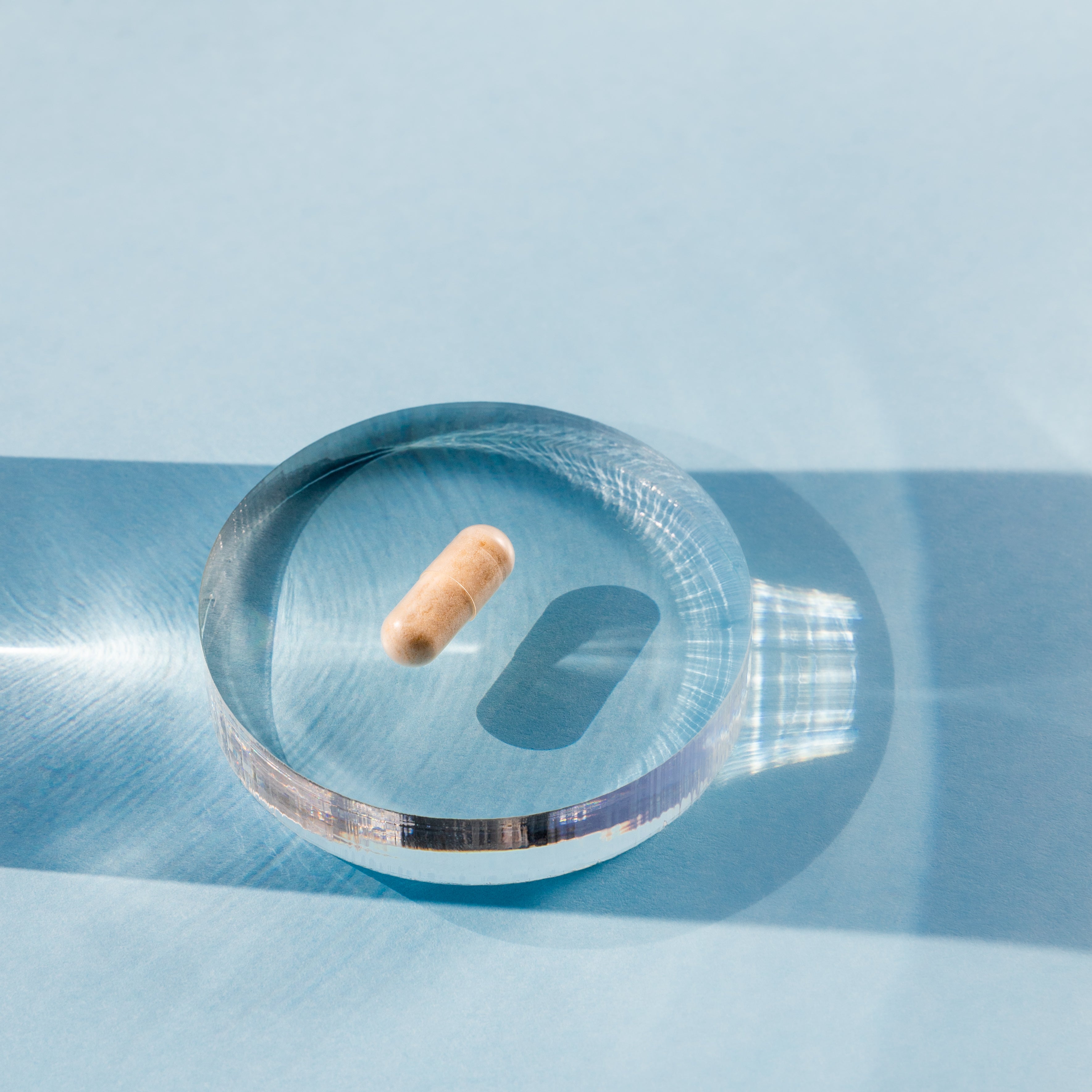 Extra Strength Daily Probiotic | Shop Progressive